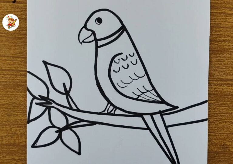 Easy Parrot Drawing For Beginners - Draw And Colour