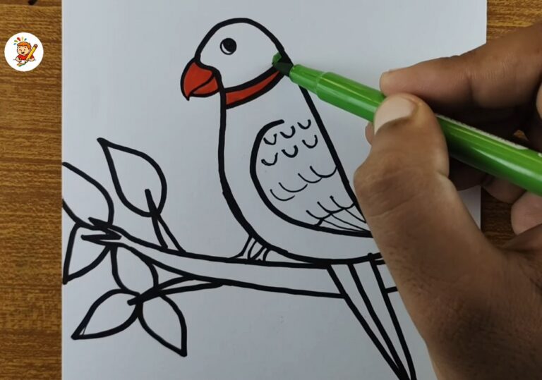 Easy Parrot Drawing For Beginners - Draw And Colour