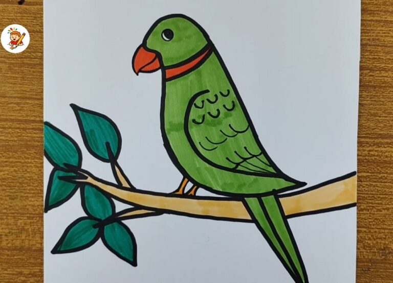 Easy Parrot Drawing For Beginners - Draw And Colour