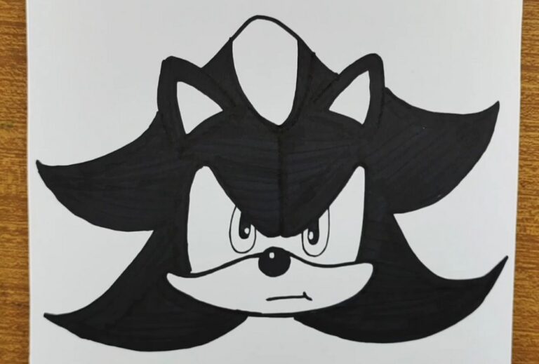 How to Draw Shadow the Hedgehog - Draw And Colour