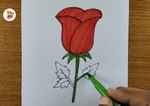 How to Draw and Color a Beautiful Red Rose - Draw And Colour