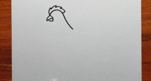 How to Draw Hen - Draw And Colour