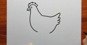 How to Draw Hen - Draw And Colour