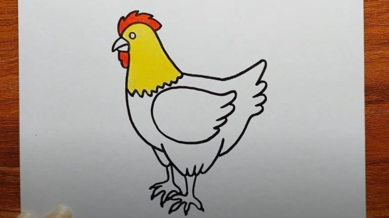 How to Draw Hen - Draw And Colour