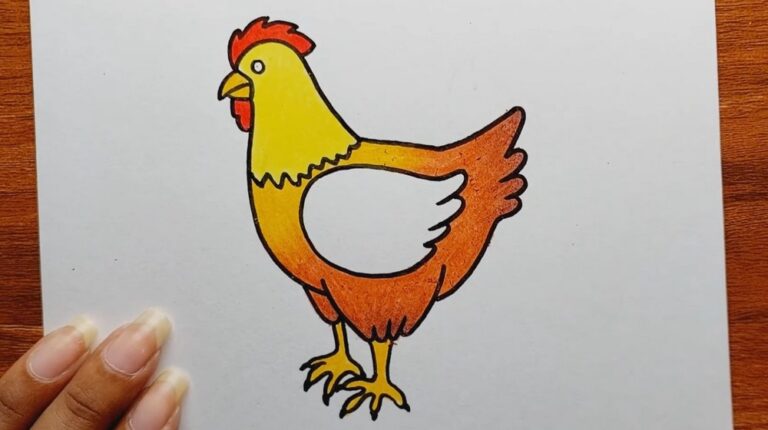 How to Draw Hen - Draw And Colour