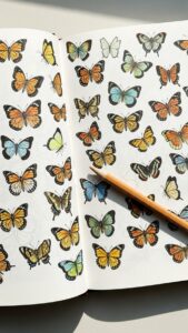 25 Butterfly Drawing Ideas With Colored Pencils - Draw And Colour